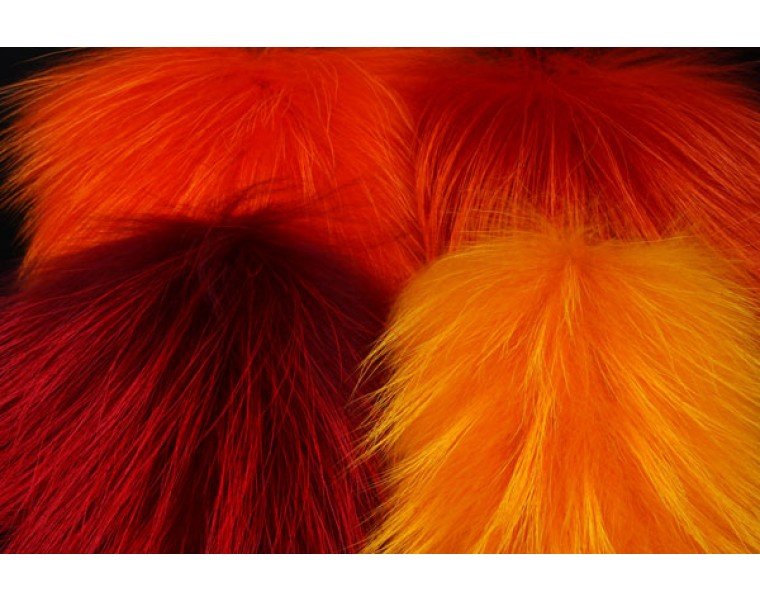 Future Fly Tanuki Skin