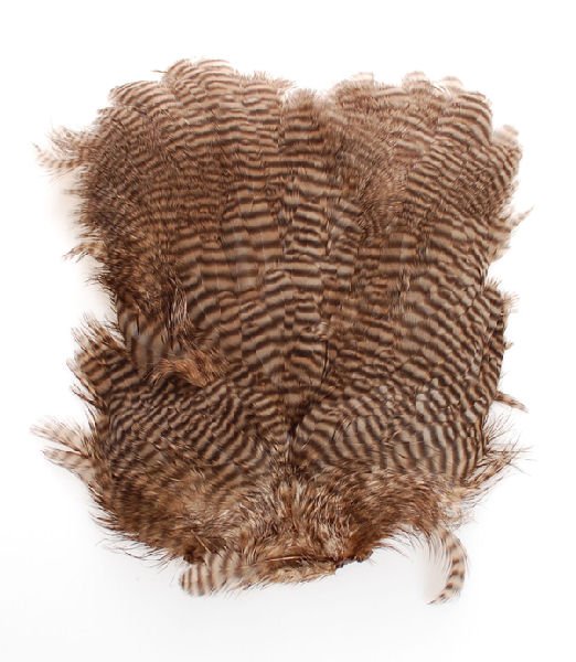 American Hen Back Magnum